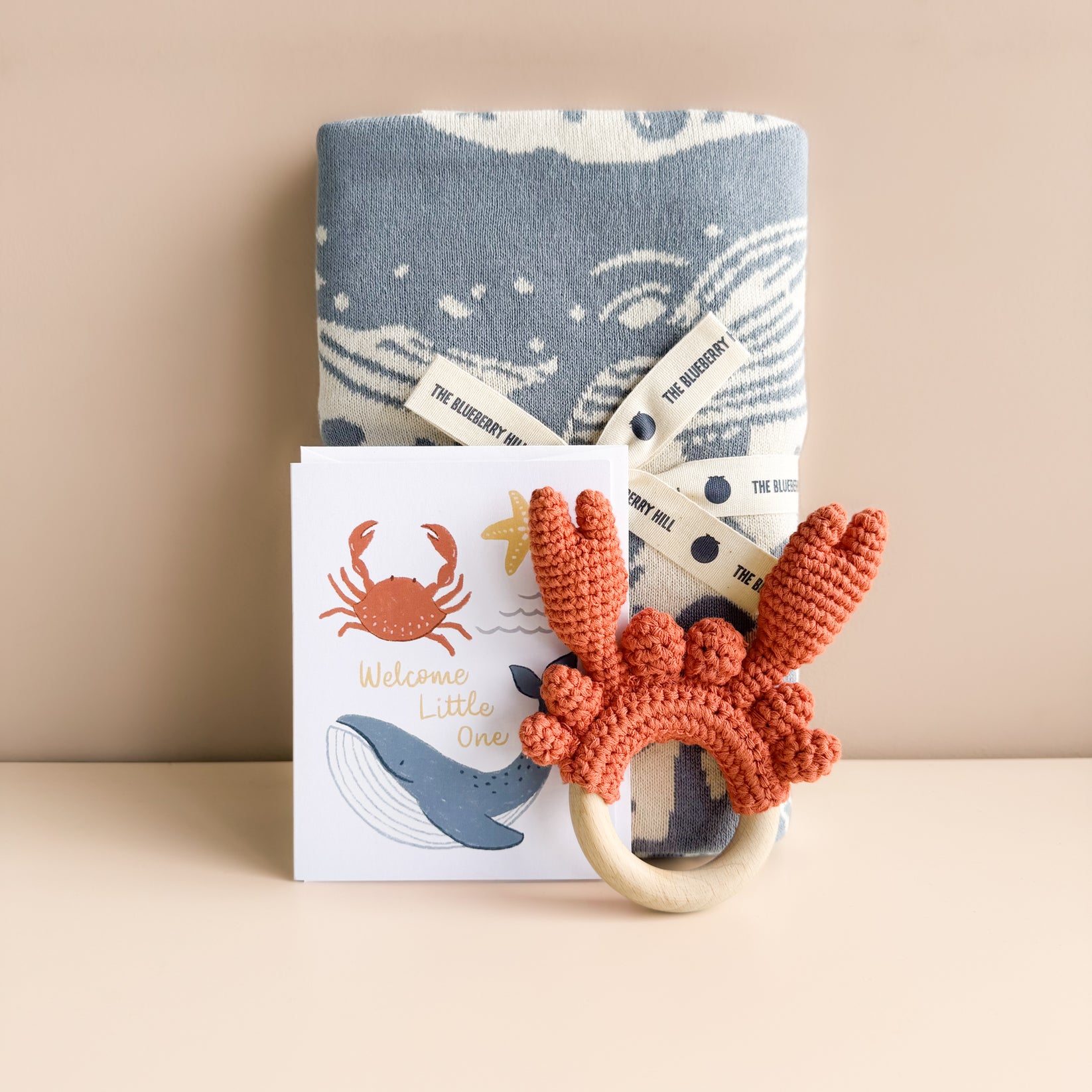 Organic Cotton Blanket Nautical Baby Shower Gift – The Blueberry Hill